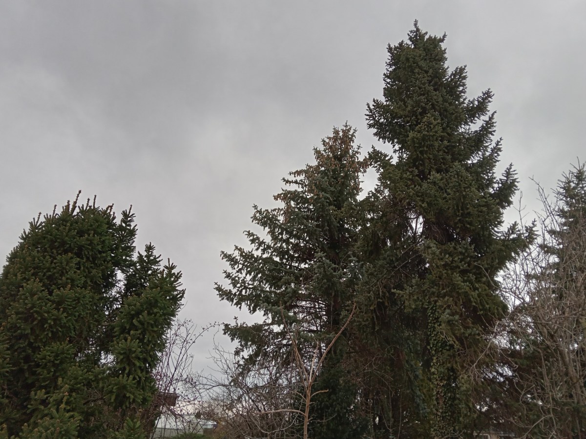 Frieden und Freiheit – Michael Wohlfarths Blog